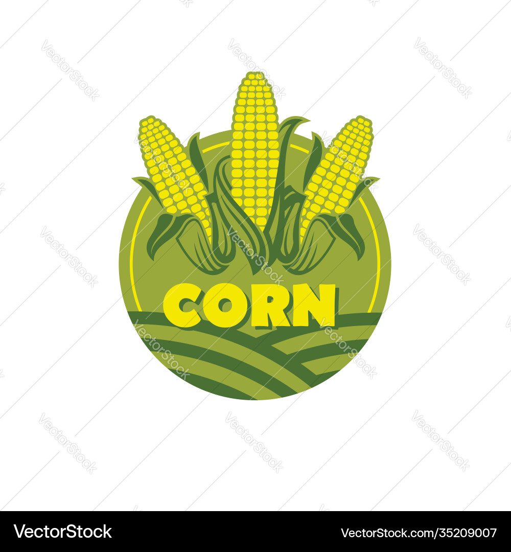 Sweet corn label Royalty Free Vector Image - VectorStock