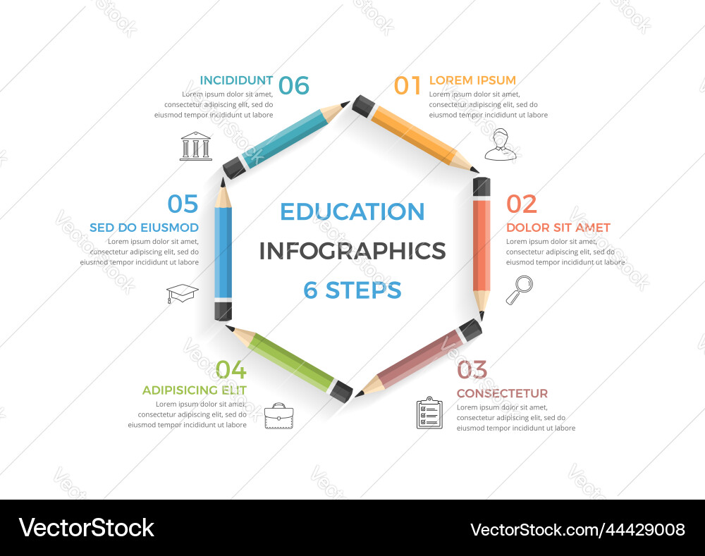 Education infographics Royalty Free Vector Image