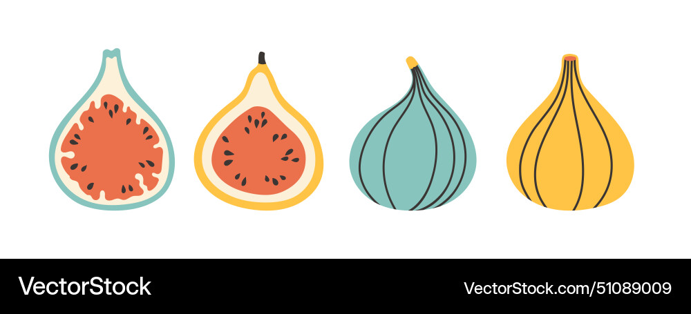 Set of abstract fig simple tropical Royalty Free Vector