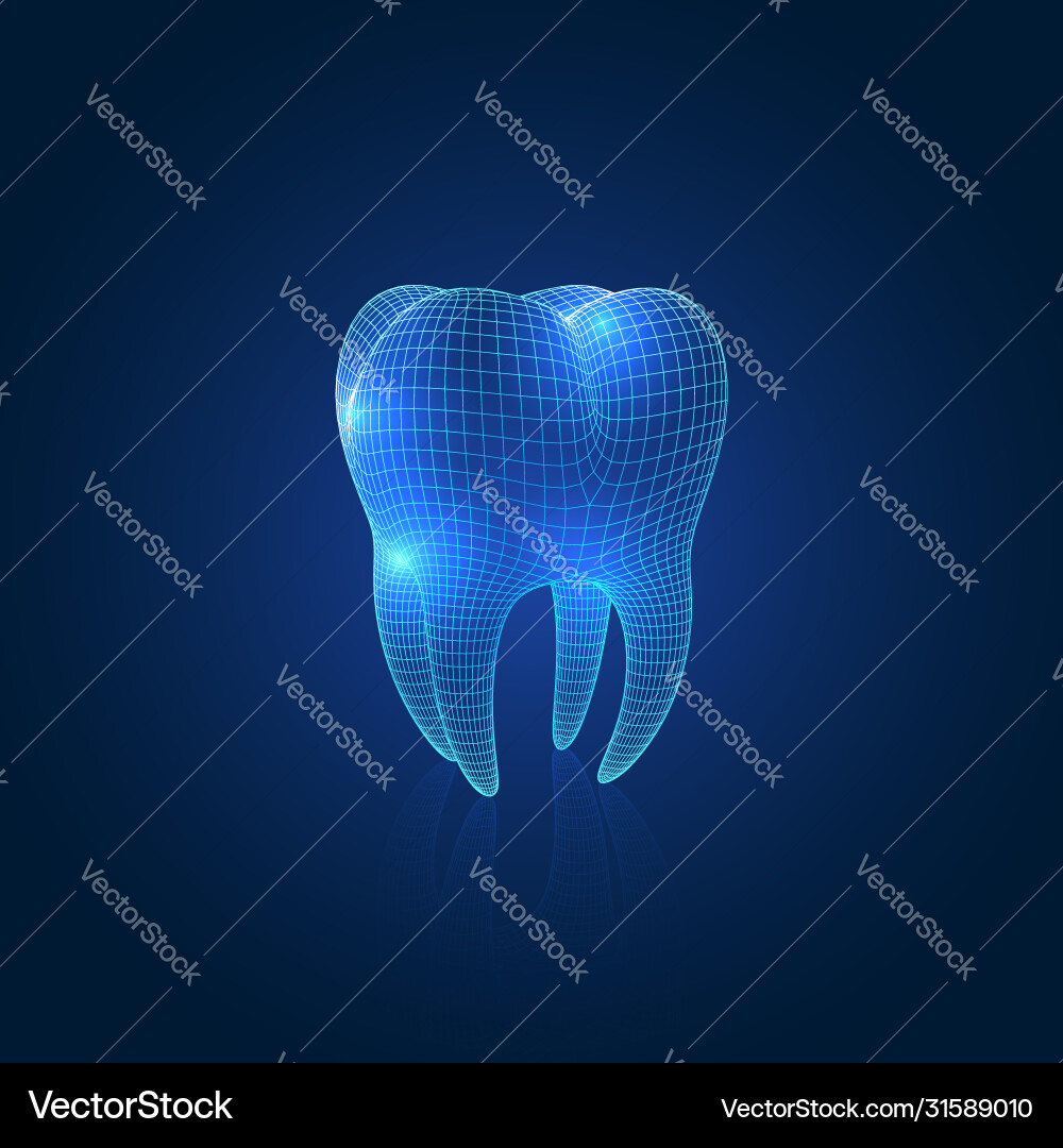 Dark Blue Polygonal Tooth Mesh Royalty Free Vector Image