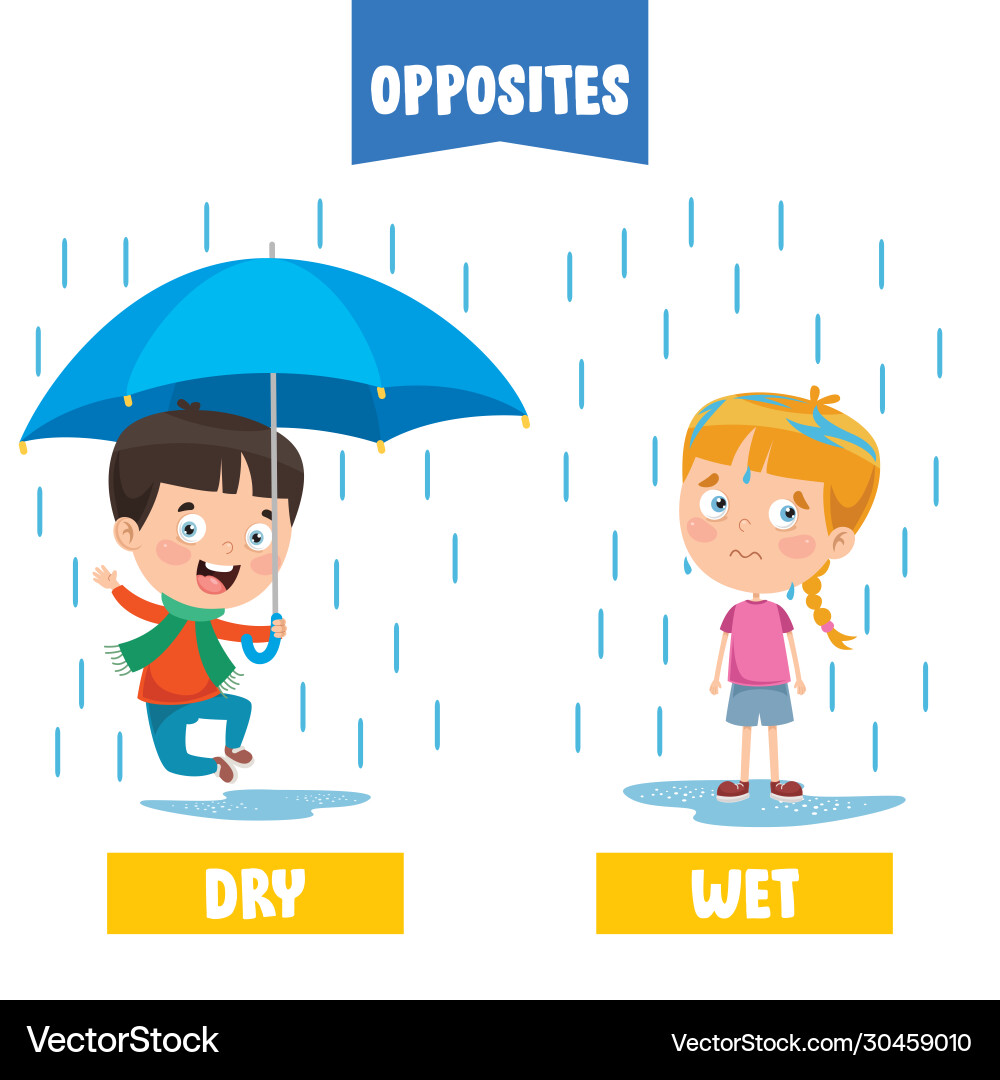 Dry and wet Royalty Free Vector Image - VectorStock