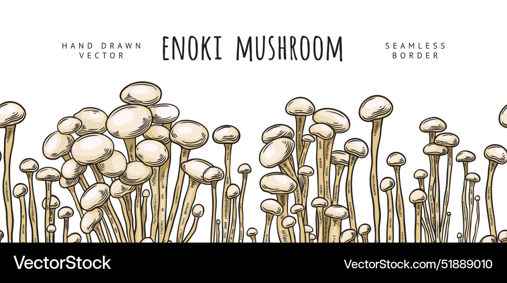 Seamless border with fresh organic enoki Vector Image