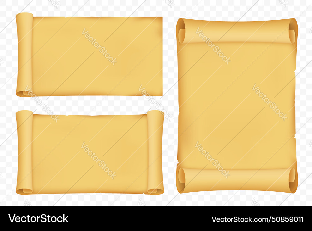 Blank paper scrolls or ancient manuscripts Vector Image