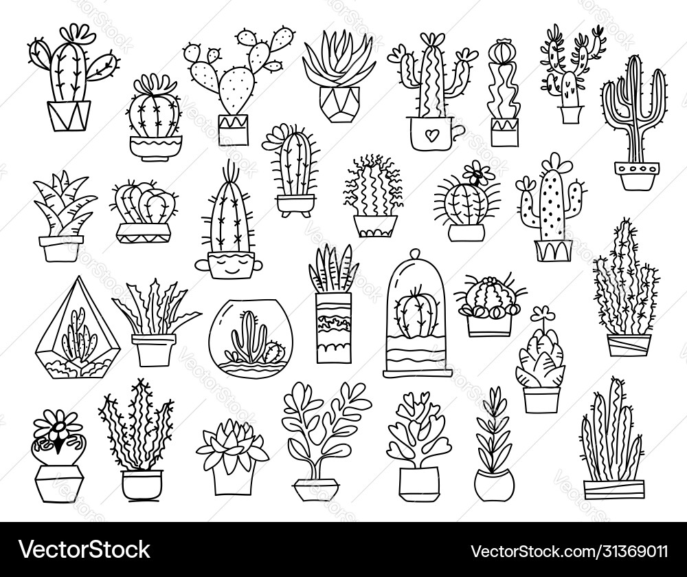 Cactuses hand drawn outline cactus set cacti Vector Image