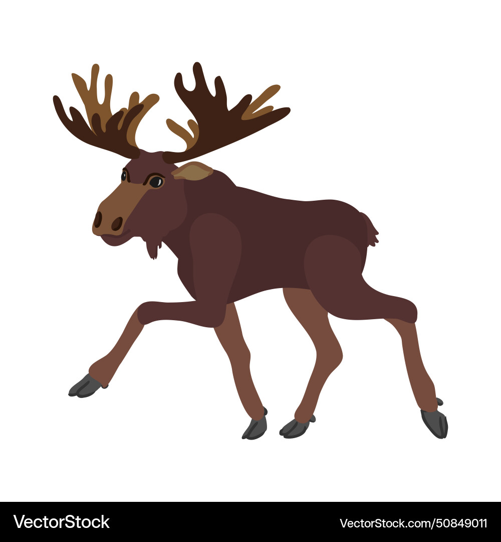 Moose Portrait Royalty Free Vector Image - VectorStock