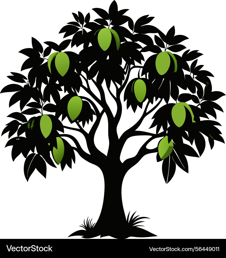Stylized mango tree silhouette with yellow fruit Vector Image