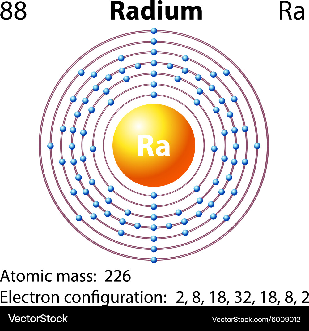 Diagram representation of the element radium Vector Image