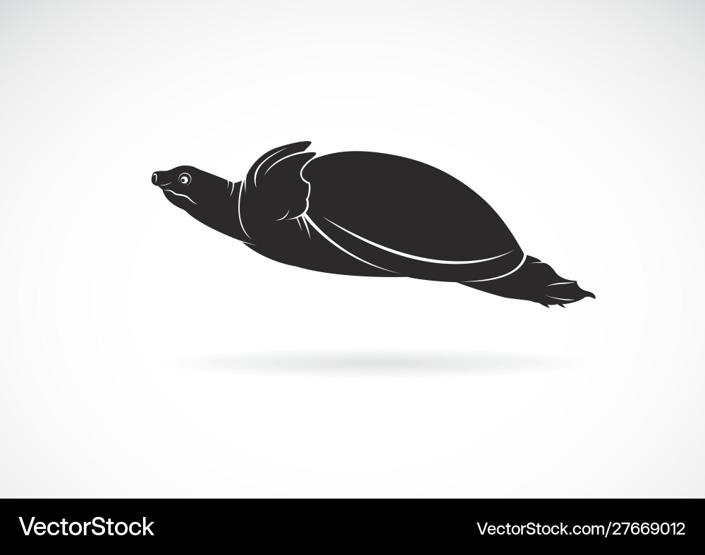 Soft-Shelled Turtle - Trionychidae Royalty Free Vector Image