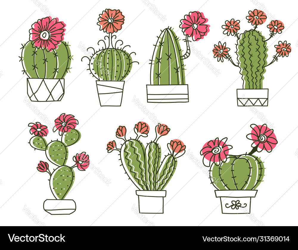 Hand Drawn Cacti with Flowers Royalty Free Vector Image
