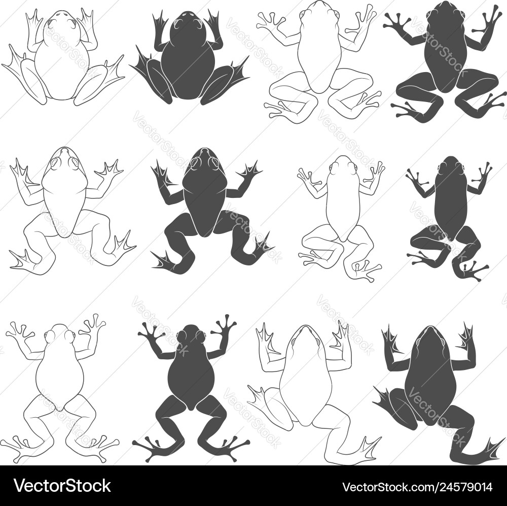Set of with tree and river frogs Royalty Free Vector Image