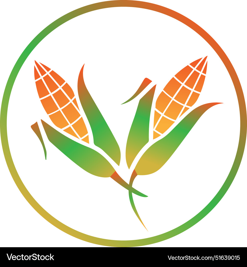 Corn cob logo design agricultural logo Royalty Free Vector