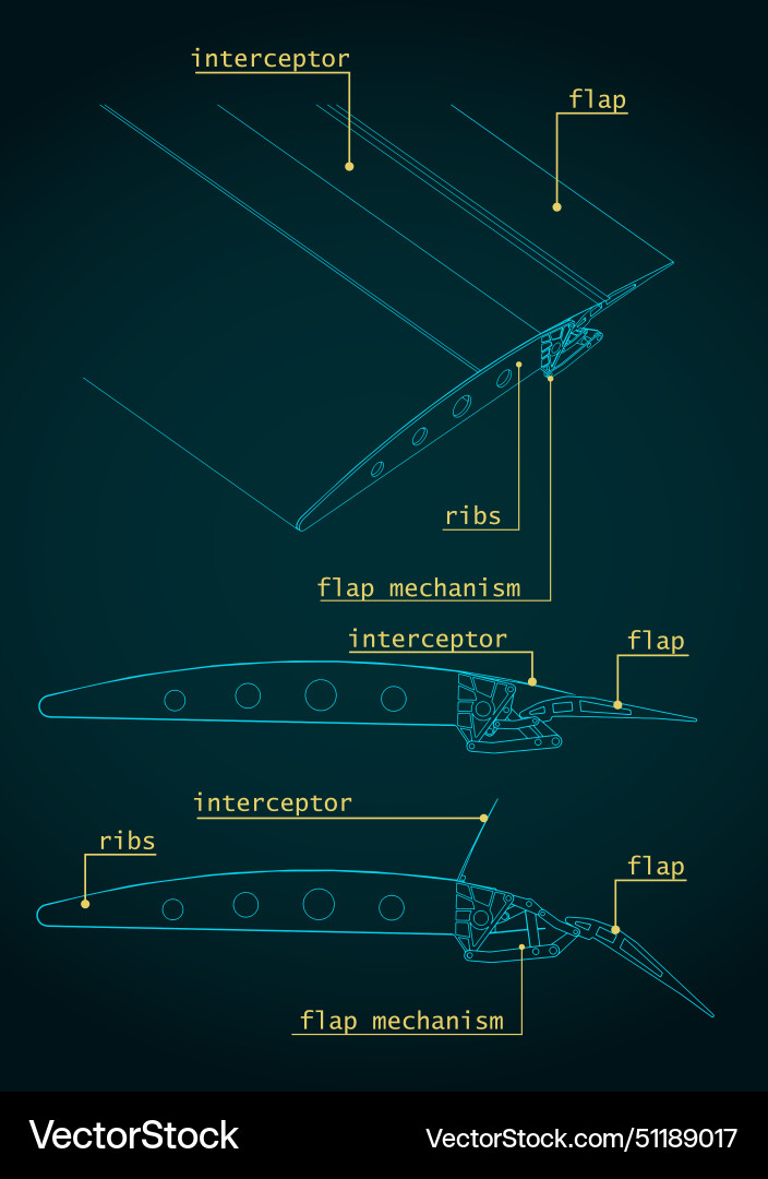 Aircraft wing structure and flaps systems Vector Image