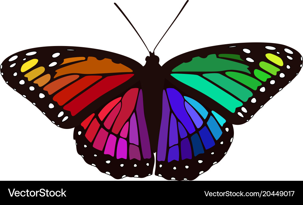 Rainbow butterfly Royalty Free Vector Image - VectorStock