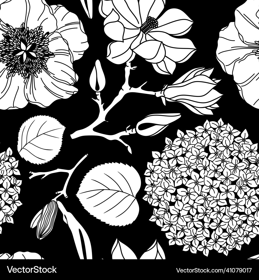 Seamless pattern with white flowers on black Vector Image