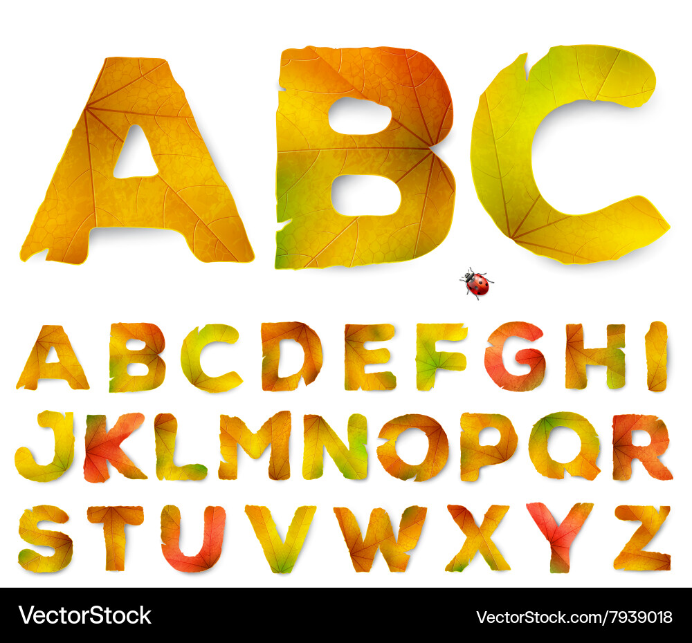 Alphabet letters made from autumn leaves Vector Image