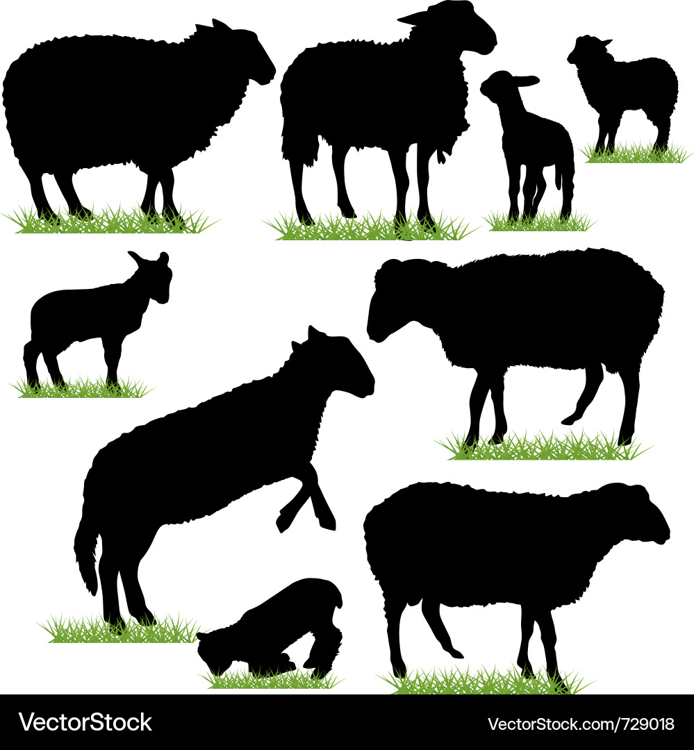 Sheep Vector Images (over 56,000)