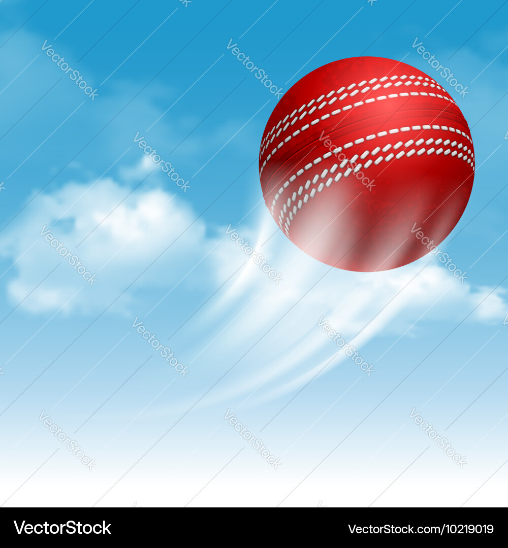 Cricket Royalty Free Vector Image - VectorStock