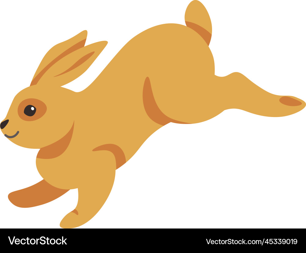 Leaping rabbit running and jumping hare animal Vector Image