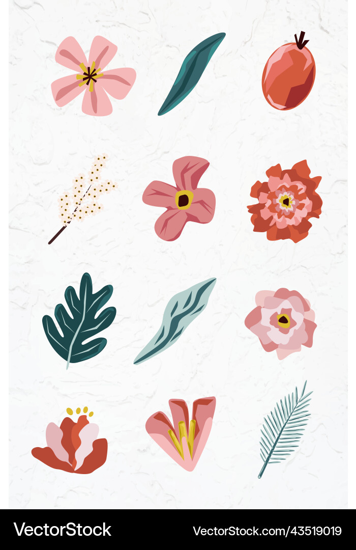 Pink flowers and leaves element set on a white Vector Image