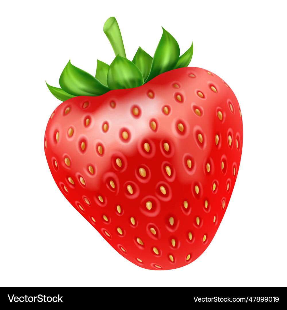 Whole strawberry realistic berry with green Vector Image