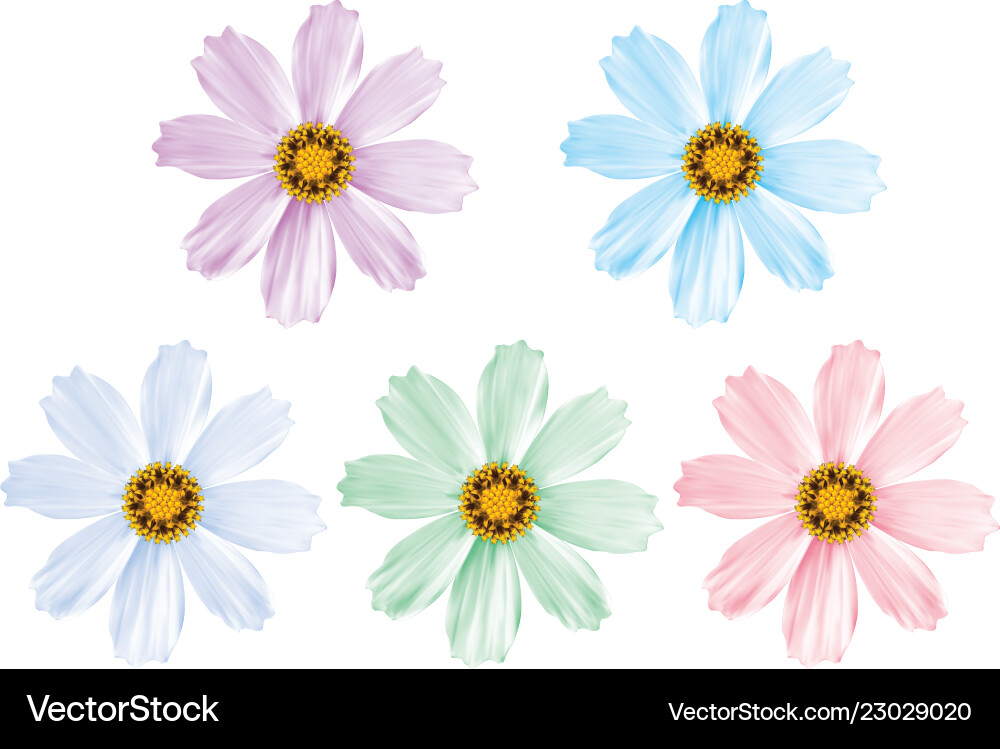 Daisyflower Vector Images (50)