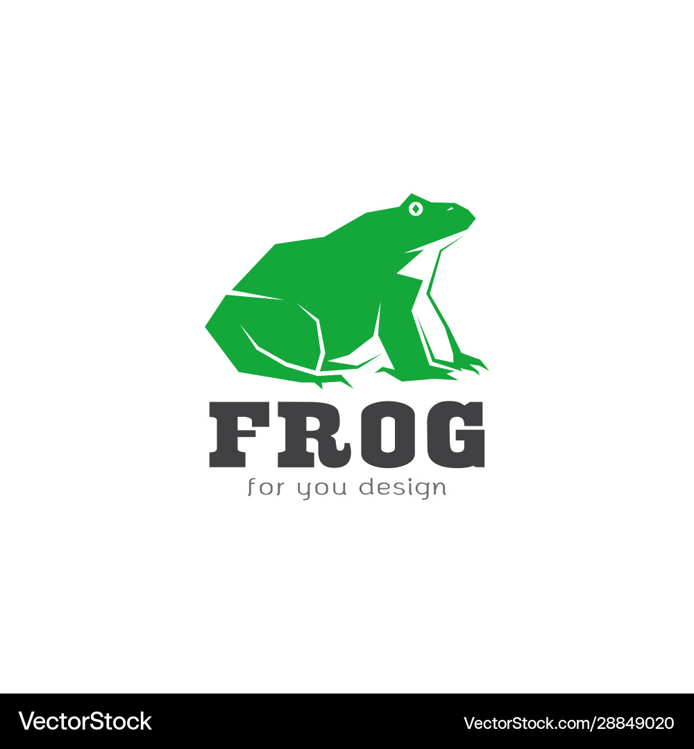 Green frog design on white background amphibian Vector Image