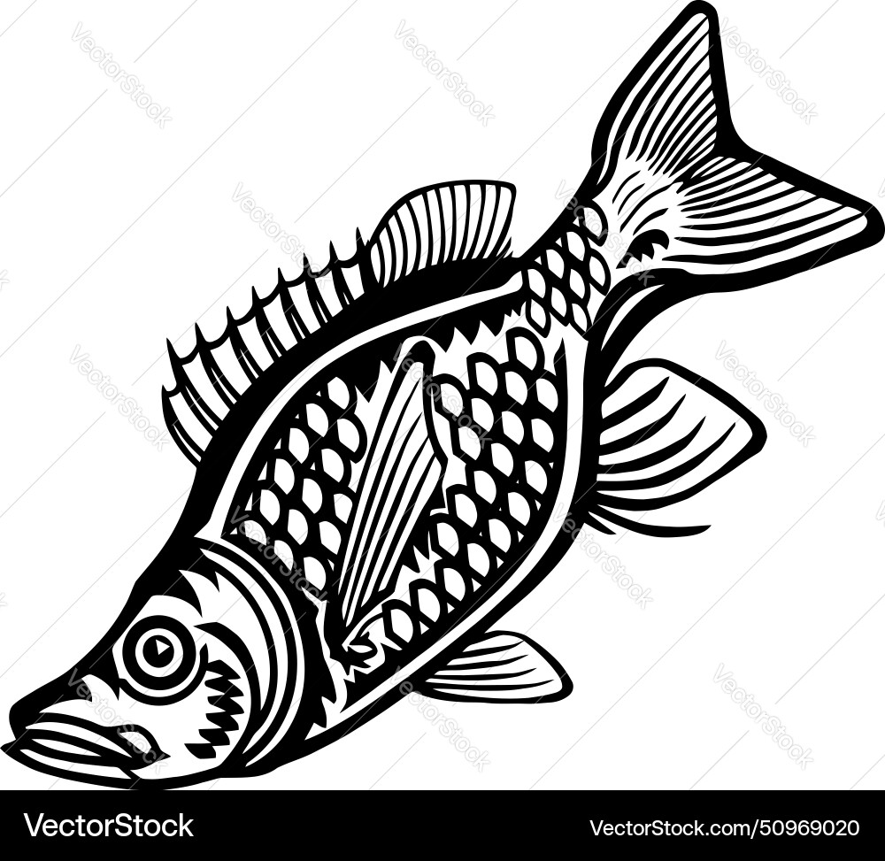 Red snapper - american fishes logo fish Royalty Free Vector
