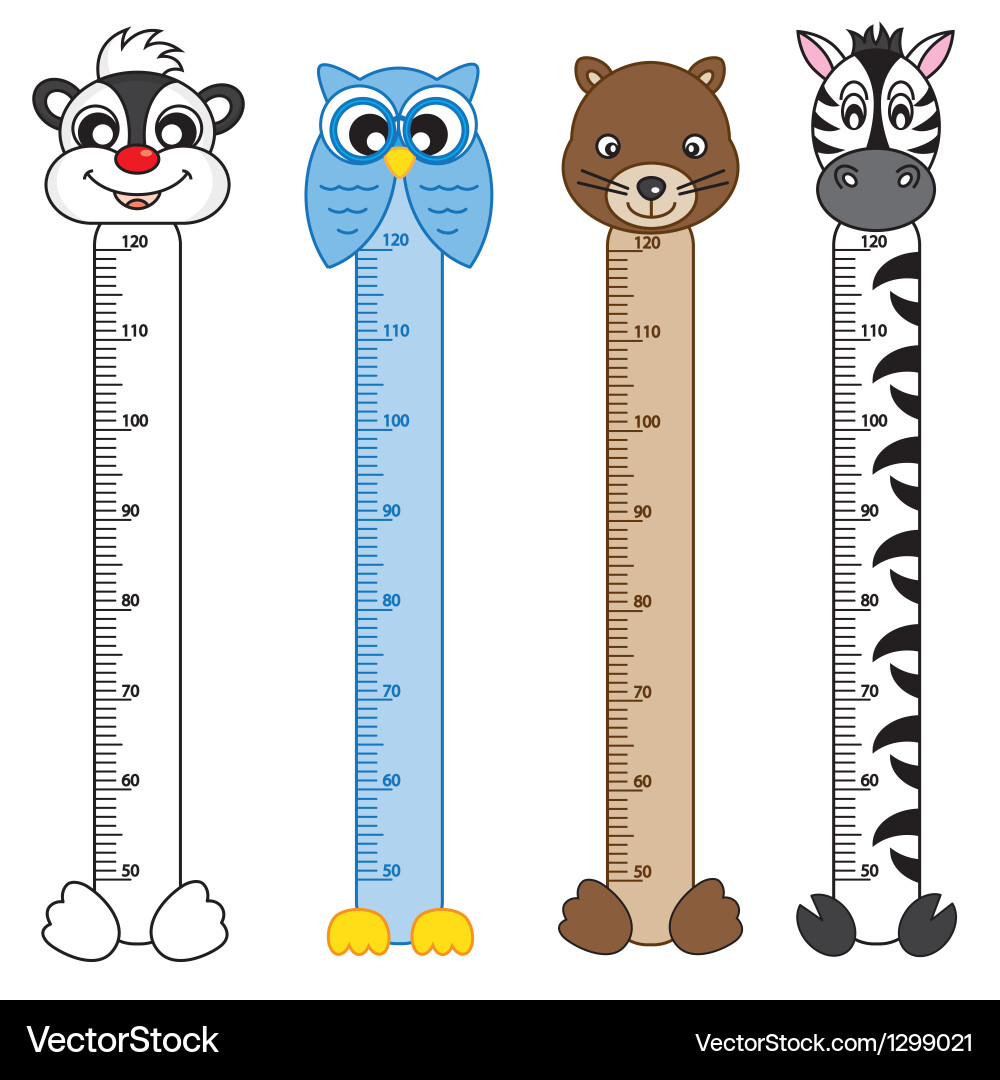 Bumper children meter wall Royalty Free Vector Image