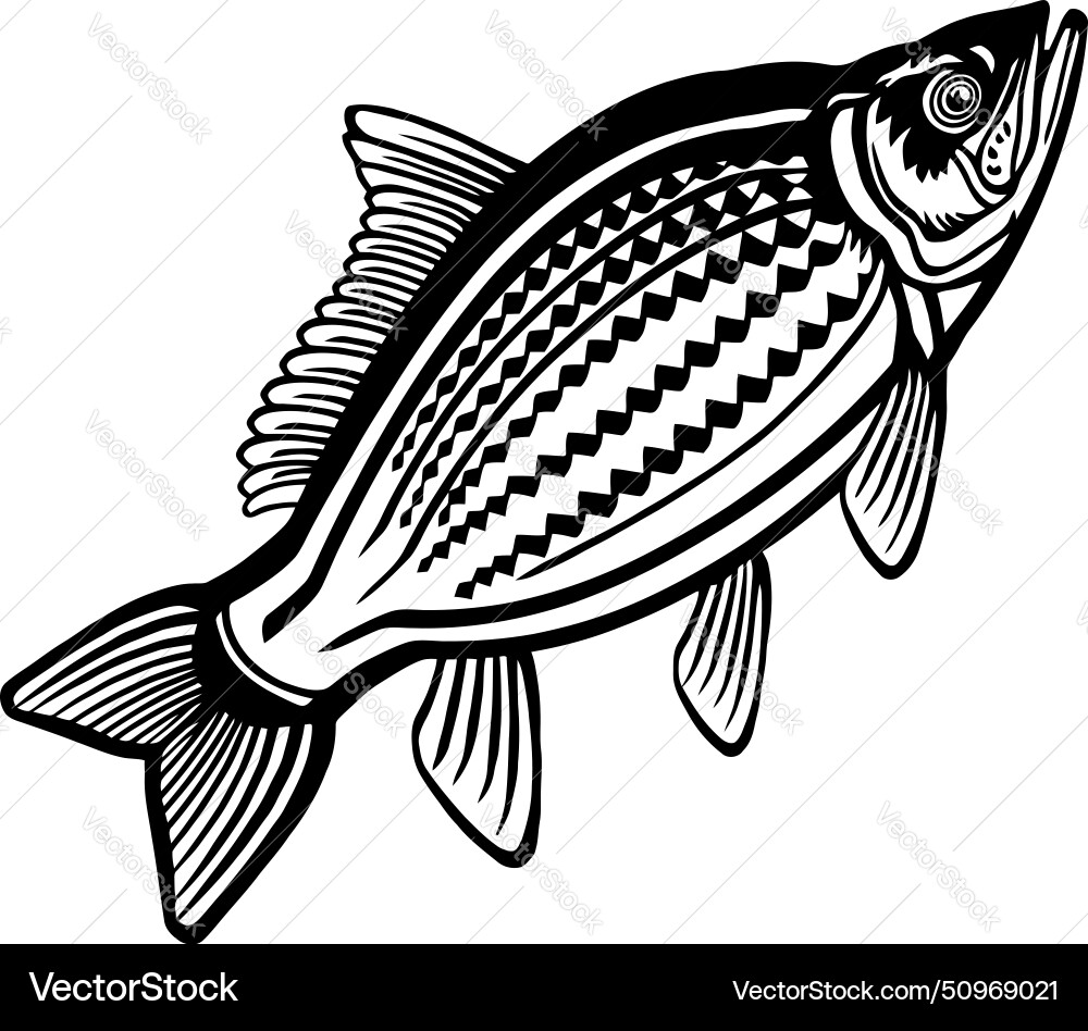 Common carp - american fishes logo fish Royalty Free Vector
