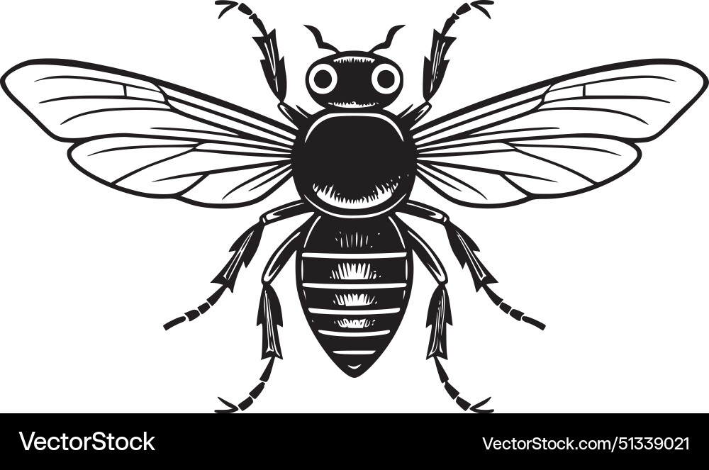 Fly - high quality logo - ideal for t-shirt Vector Image