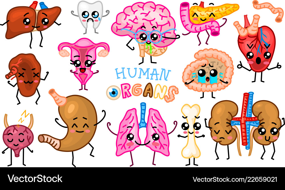 Set of organs cute happy human smiling Royalty Free Vector