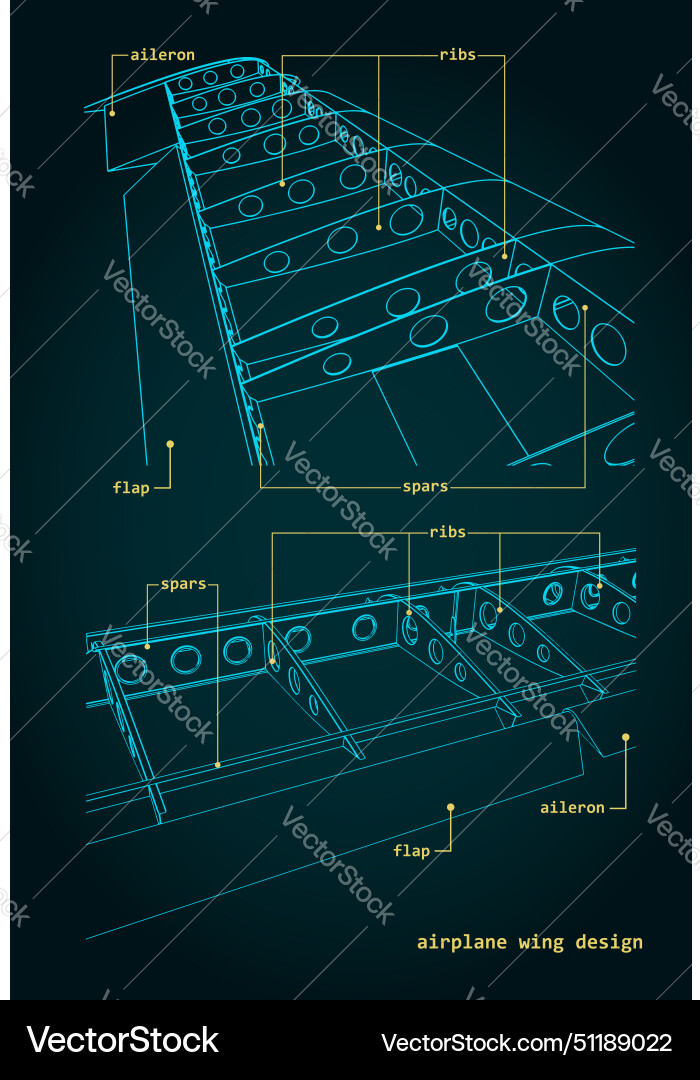 Airplane wings blueprint Royalty Free Vector Image