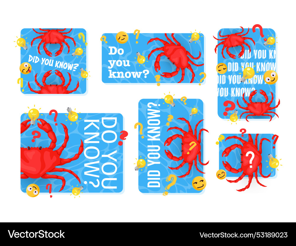 Colorful Educational Quiz Cards Royalty Free Vector Image