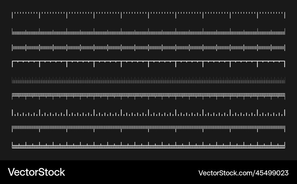 Various measurement scales with divisions Vector Image