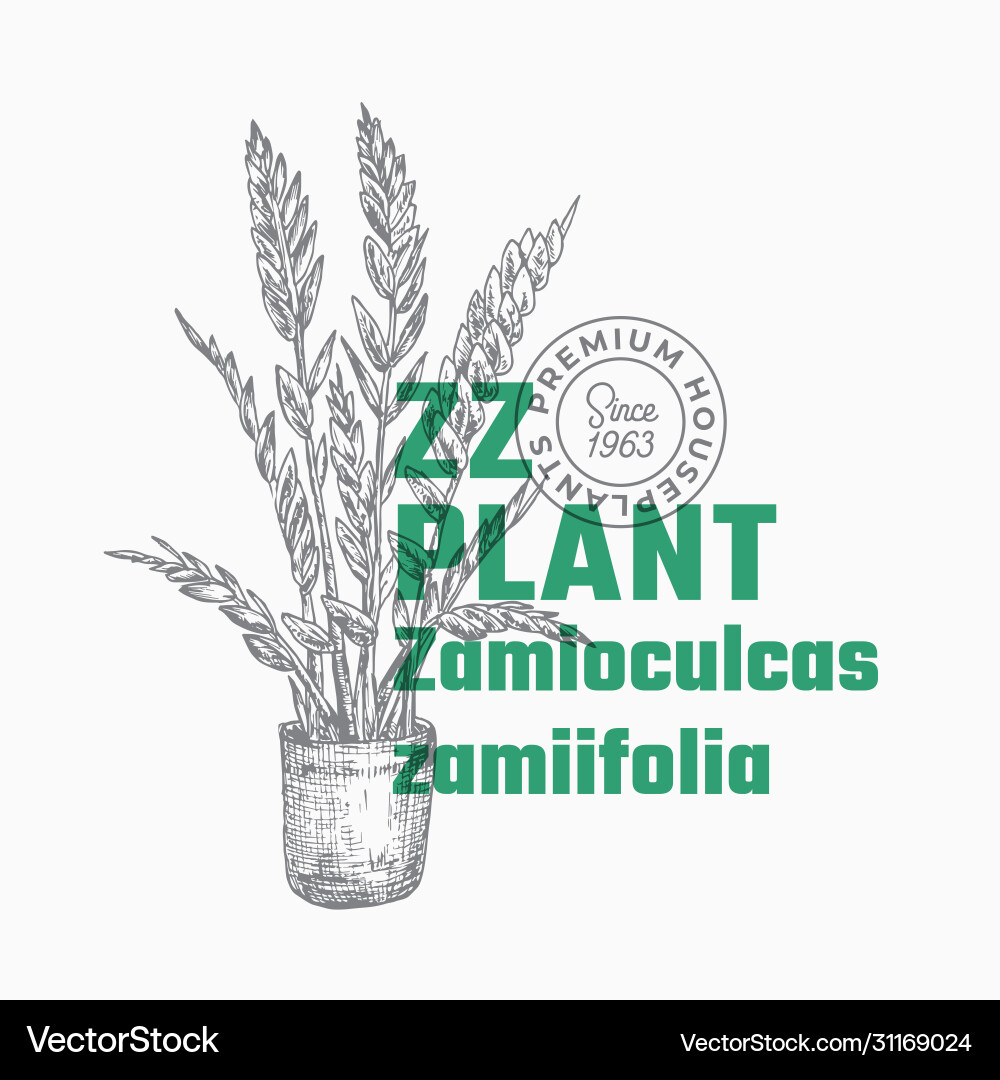 Zz plant abstract sign or label template Vector Image