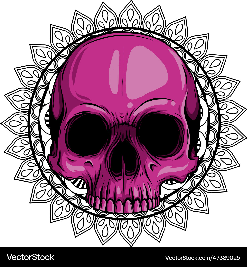Colored draw of human skull Royalty Free Vector Image