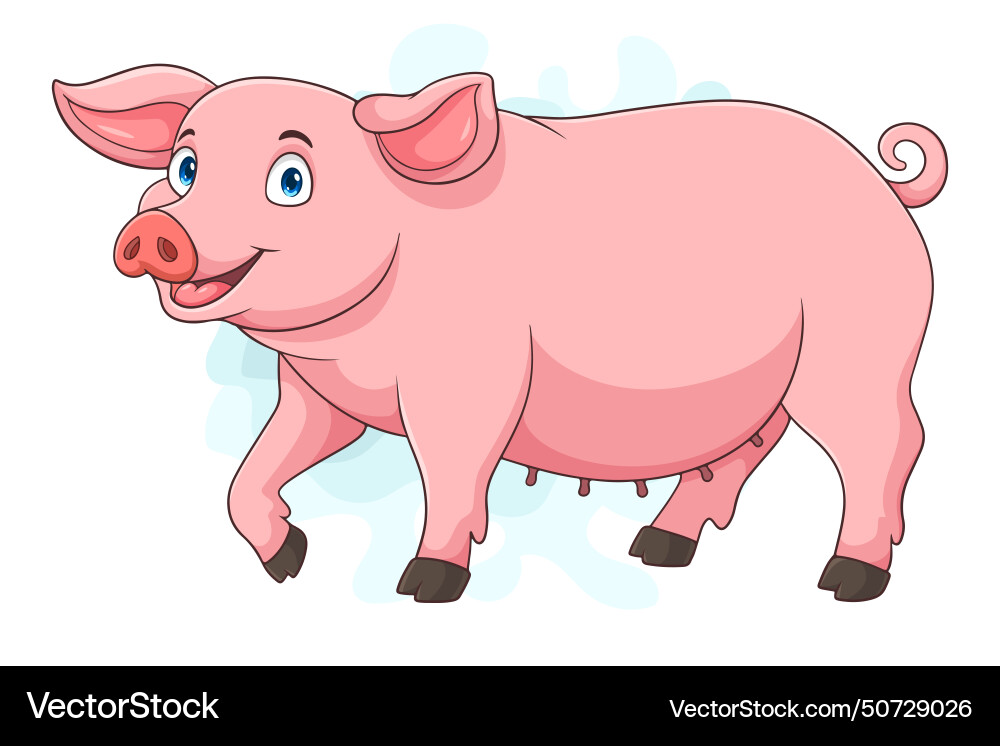 Cartoon pig isolated on white background Vector Image