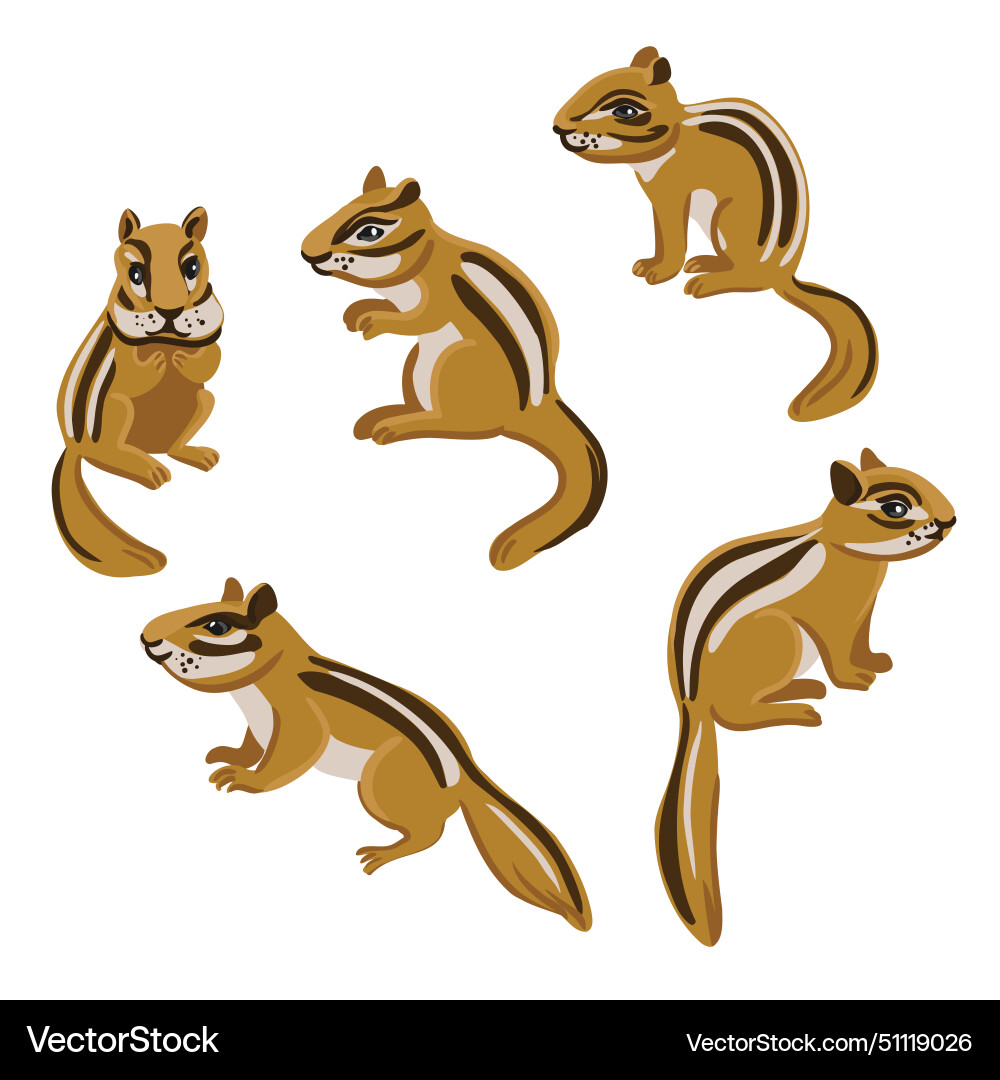 Drawing chipmunk animal Royalty Free Vector Image