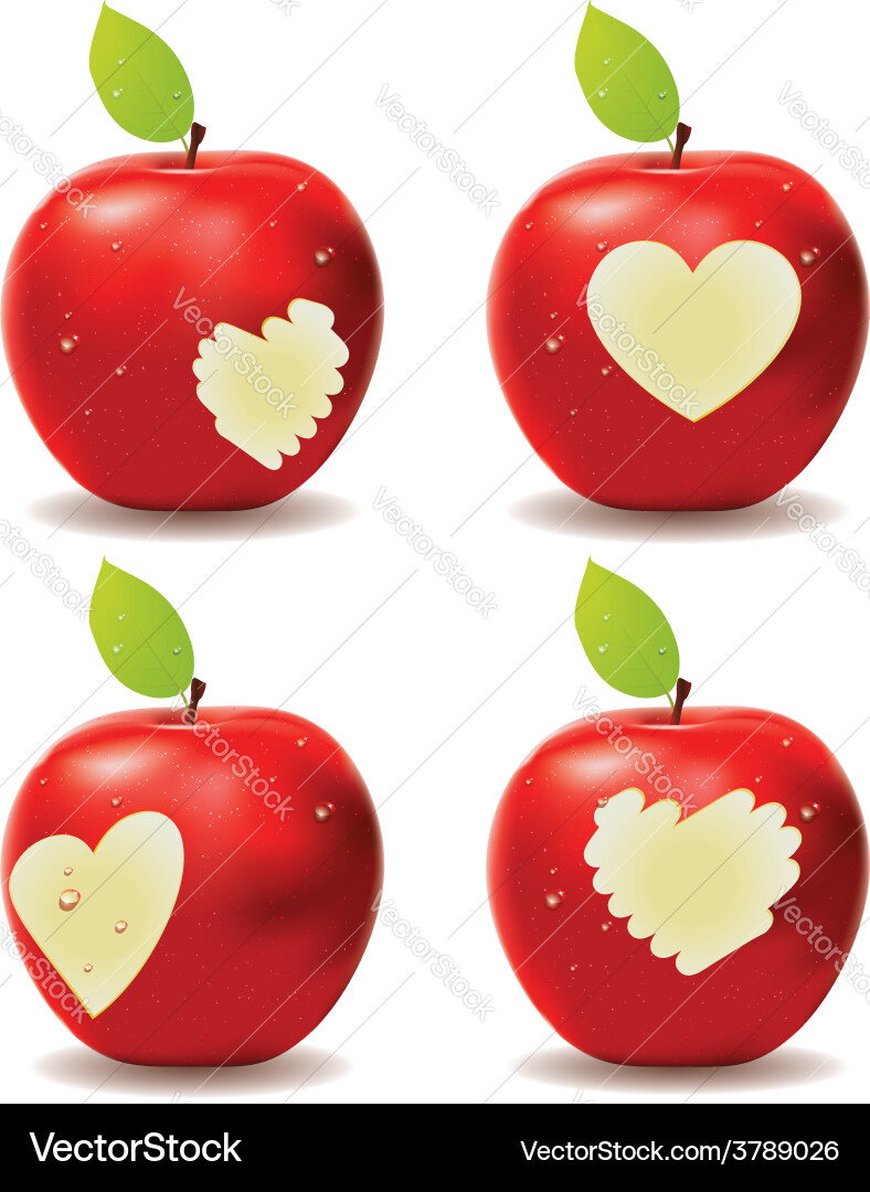 Red apple bite Royalty Free Vector Image - VectorStock