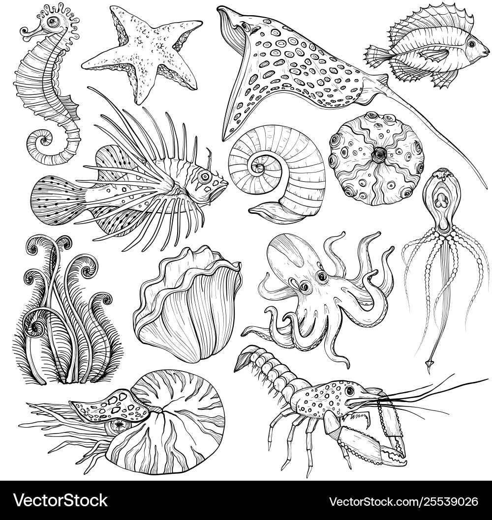 Set with hand drawn marine life Royalty Free Vector Image