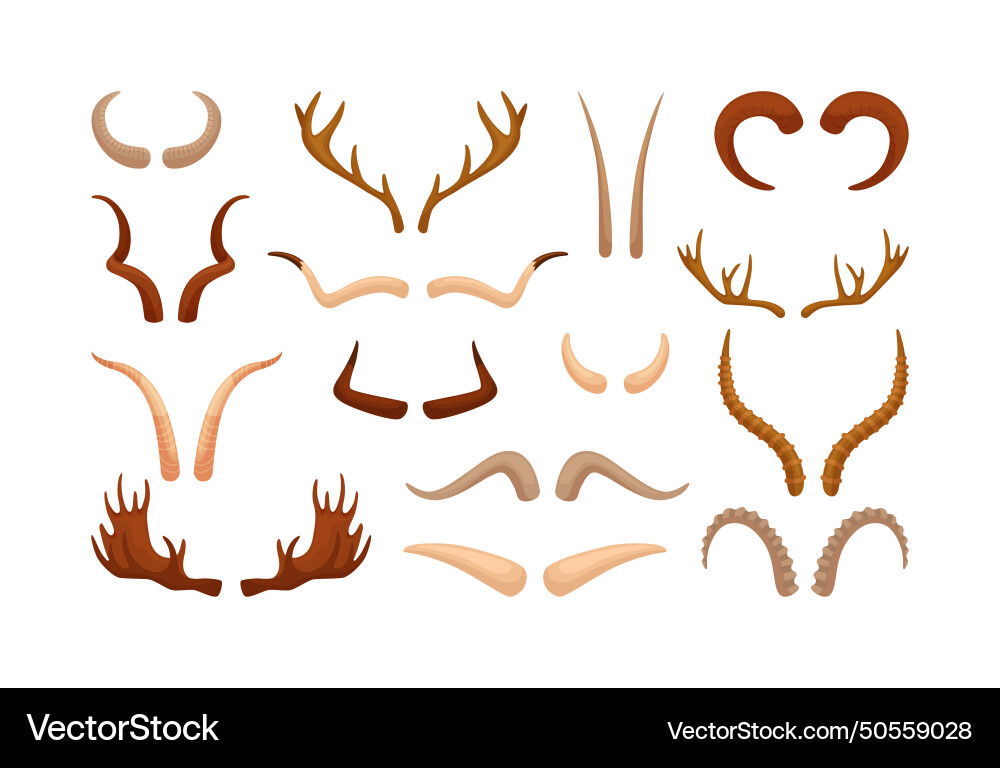 Animal antlers neoteric set Royalty Free Vector Image