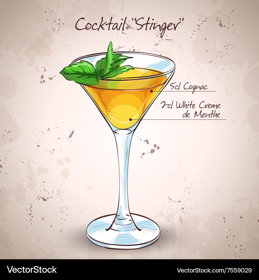 Cocktail alcoholic stinger Royalty Free Vector Image
