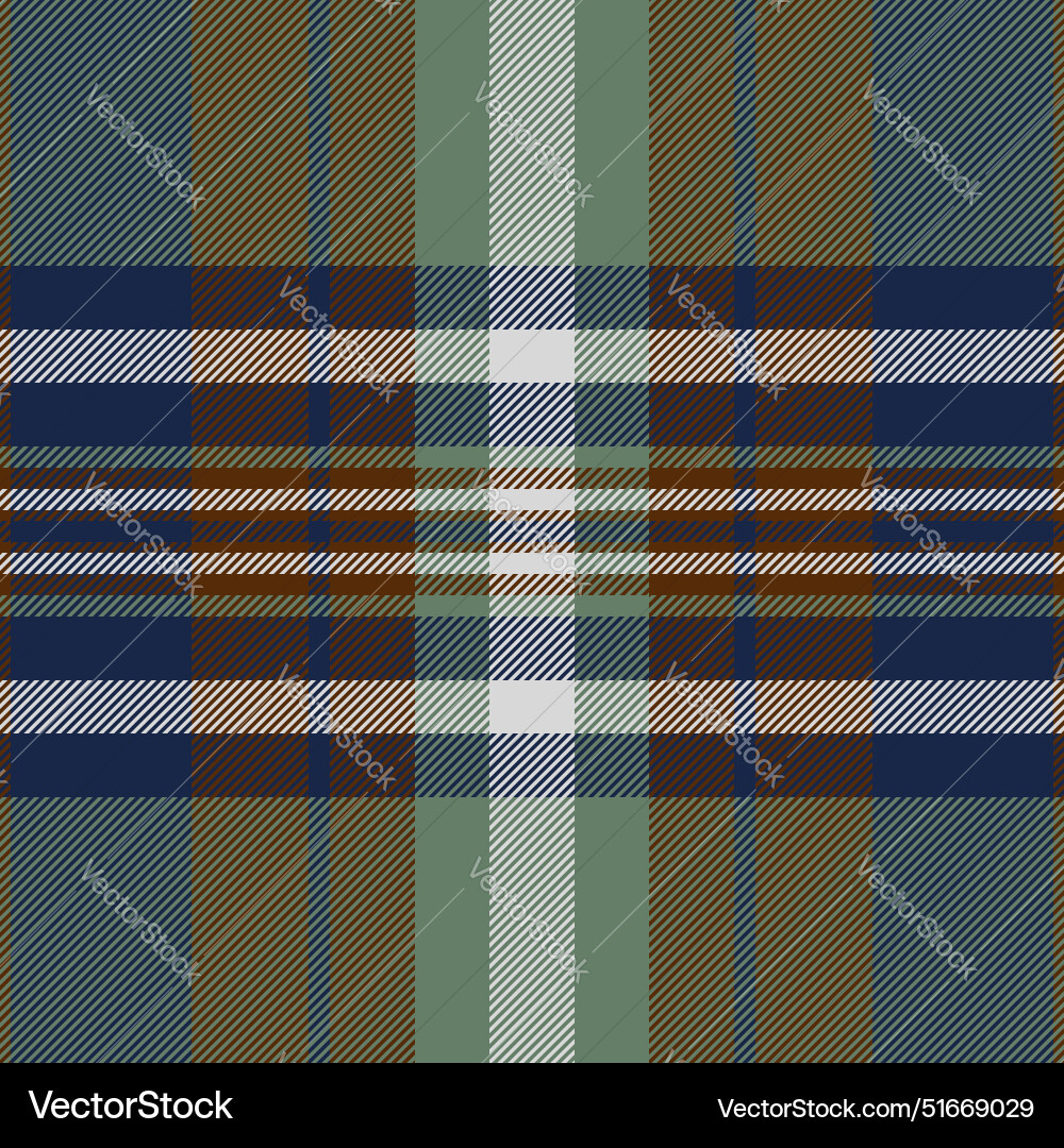 Pattern fabric check of texture seamless Vector Image