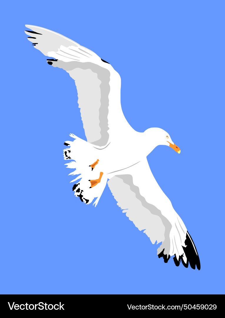 Seagull fly on blue sky background Royalty Free Vector Image