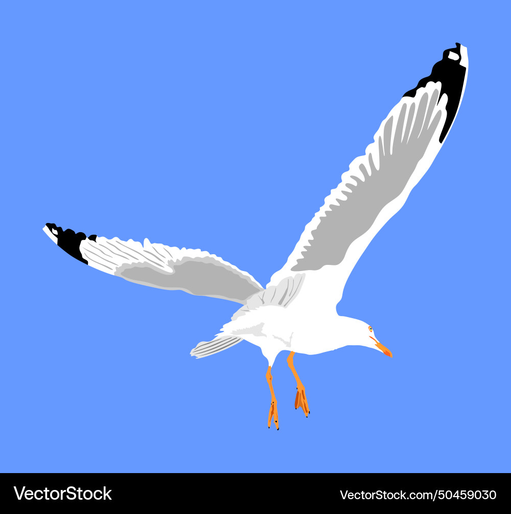 Seagull fly on blue sky background Royalty Free Vector Image
