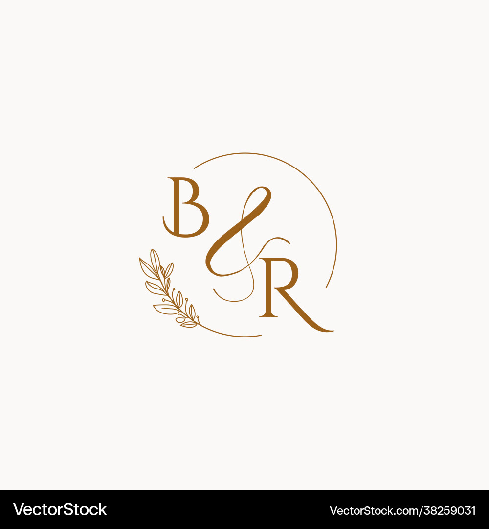 Br initial wedding monogram logo Royalty Free Vector Image