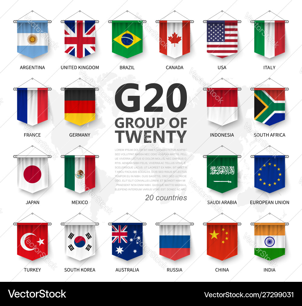 G20 group twenty countries and membership Vector Image