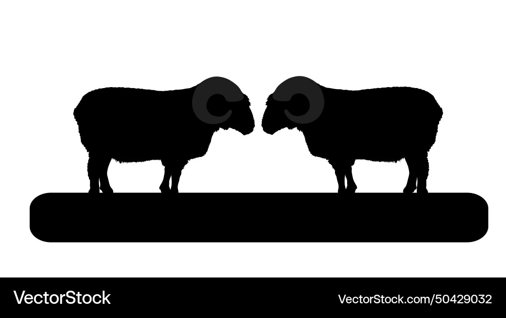 Two bighorn rams on chump fighting silhouette Vector Image