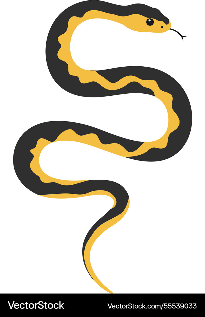 Black and yellow snake coiling elegantly Vector Image