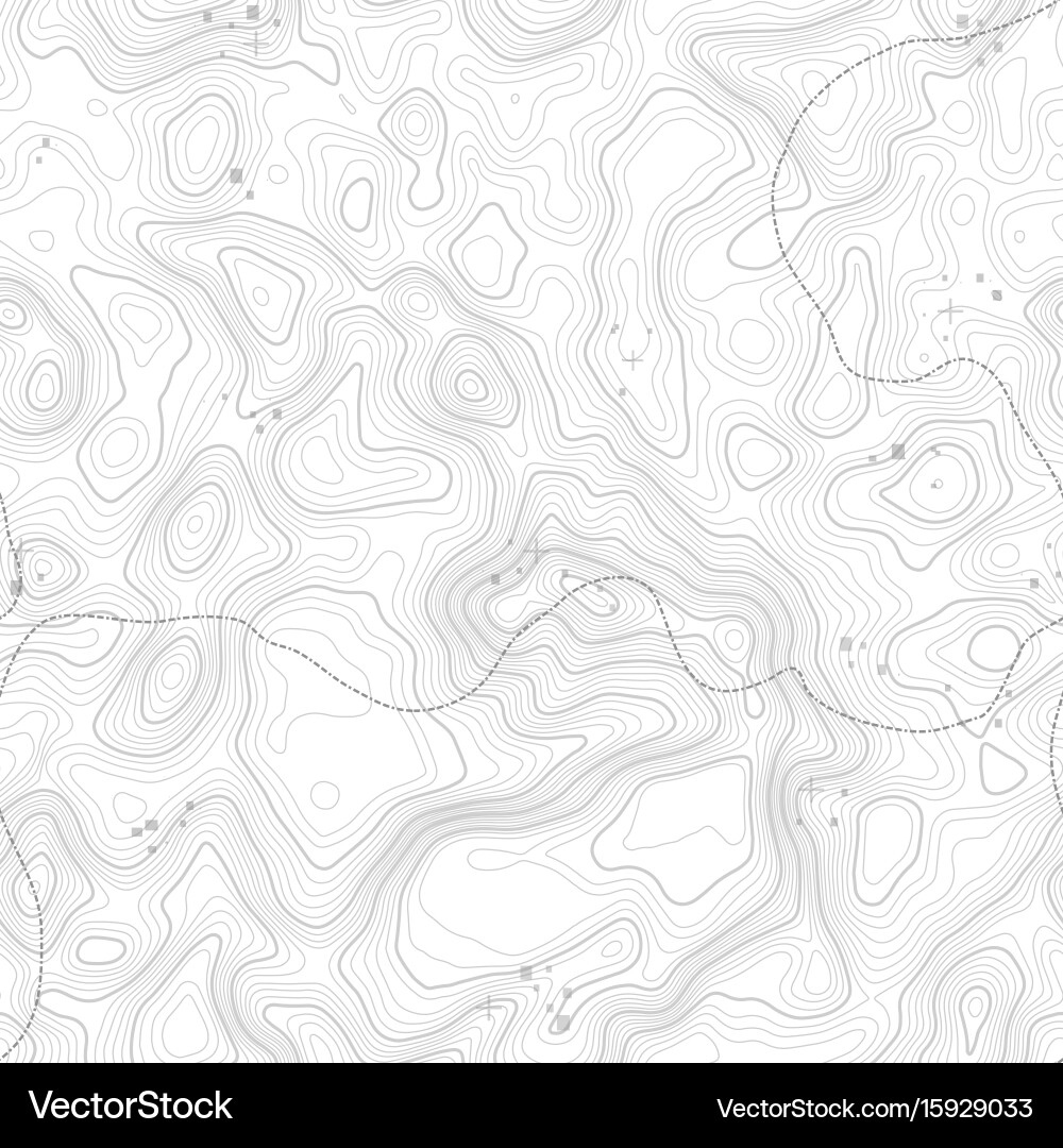 Seamless pattern topographic map background Vector Image